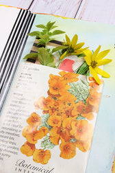 Art Journal Bliss, An Online Creative Art Class – Alisa Burke