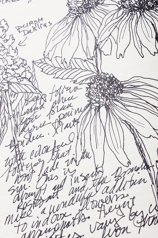 Art Journal Bliss, An Online Creative Art Class – Alisa Burke